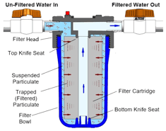 How Does Water Filtration Work?