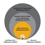 Water Filters - The Basics of Micron Ratings
