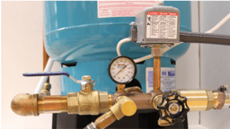 Everything You Need to Know: Tank Tee Edition